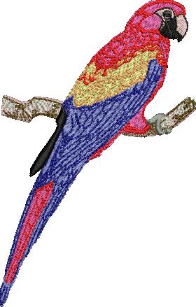 Embroidery Designs online download